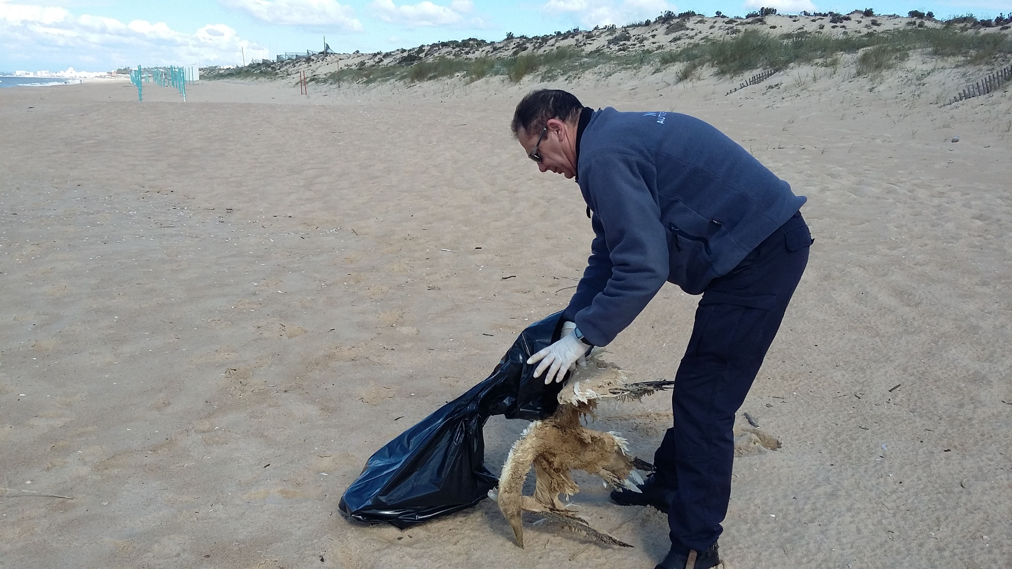 Autoridade Marítima contribui para a salubridade das praias do Algarve